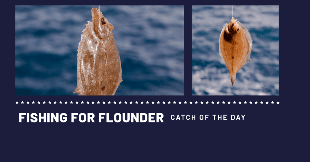 Fishing For Flounder: A Guide To Catching And Cooking This Delicious ...