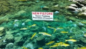 Saskatchewan Fishing Regulations: Essential Guide