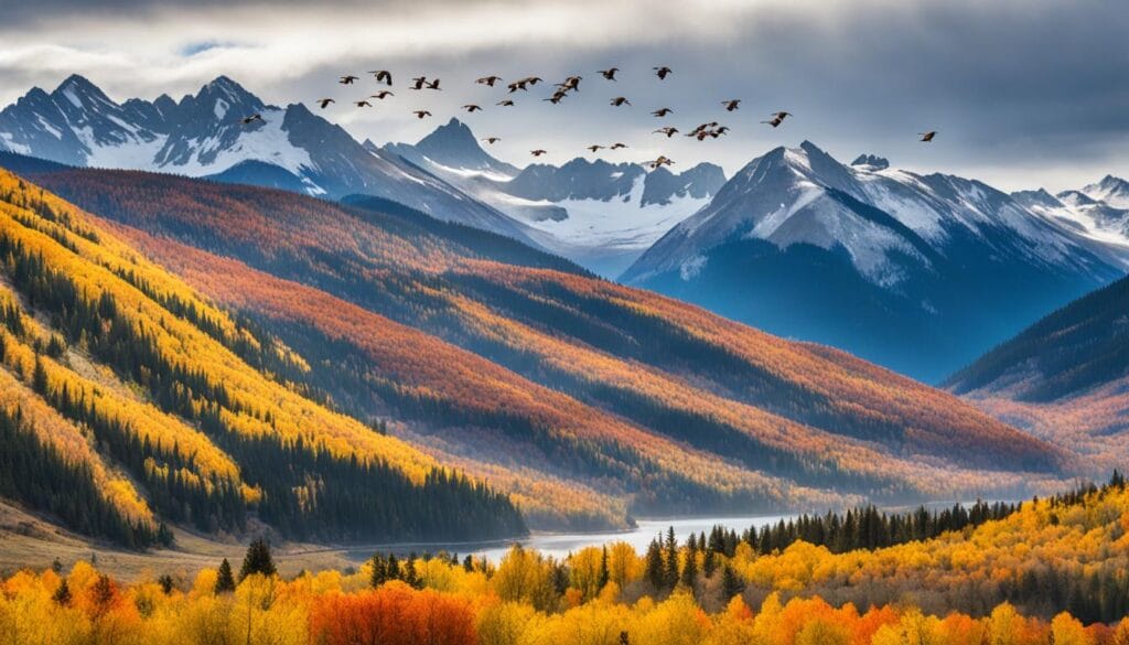 Understanding Canadian Wildlife Migration Patterns